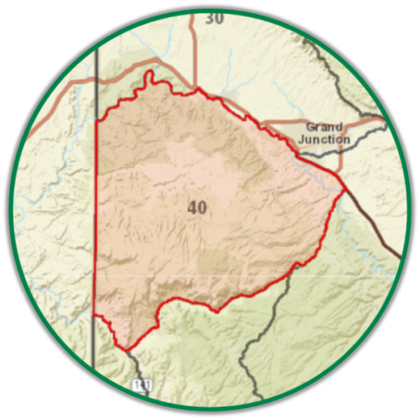 Colorado Unit 40 Hunting Information - Deer Elk Antelope