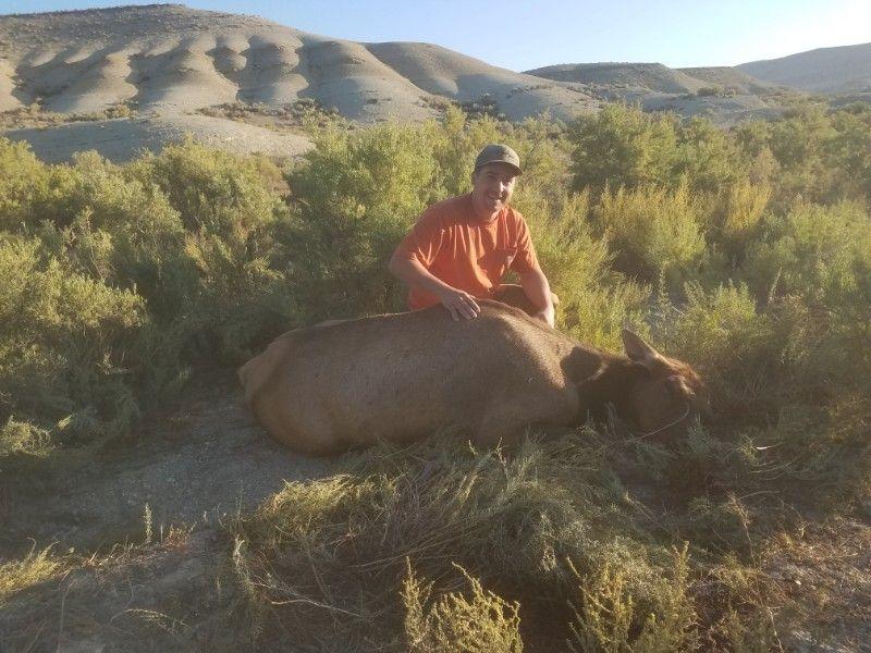 2020 Utah Bookcliffs Private Land Cow Elk Hunt - HuntersDomain